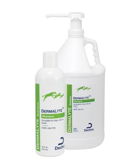 DermaLyte Shampoo 12oz
