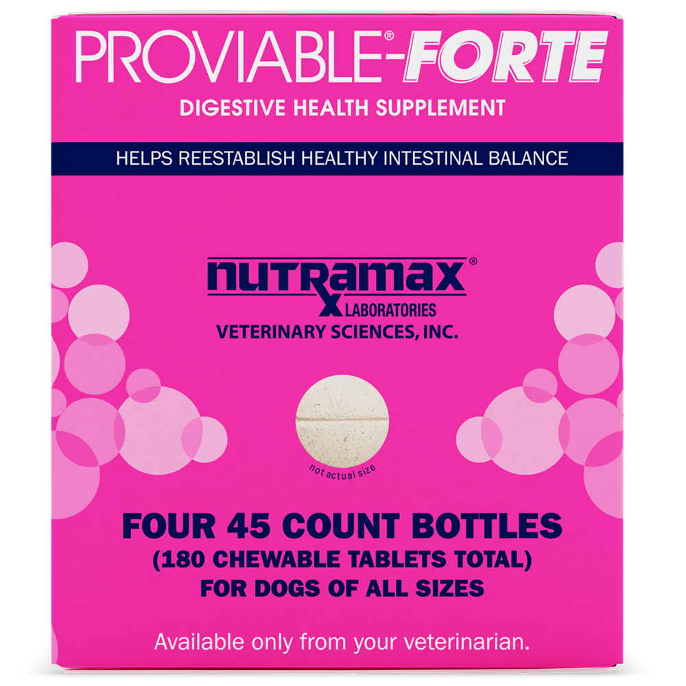 Proviable® Forte Chewable Dog Tablets 4x45CT